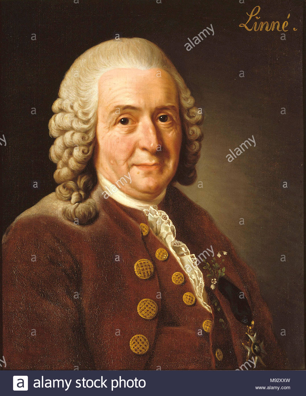 Carl von Linné via Beatrice Madsen, August 11th, 2018 - Sananda